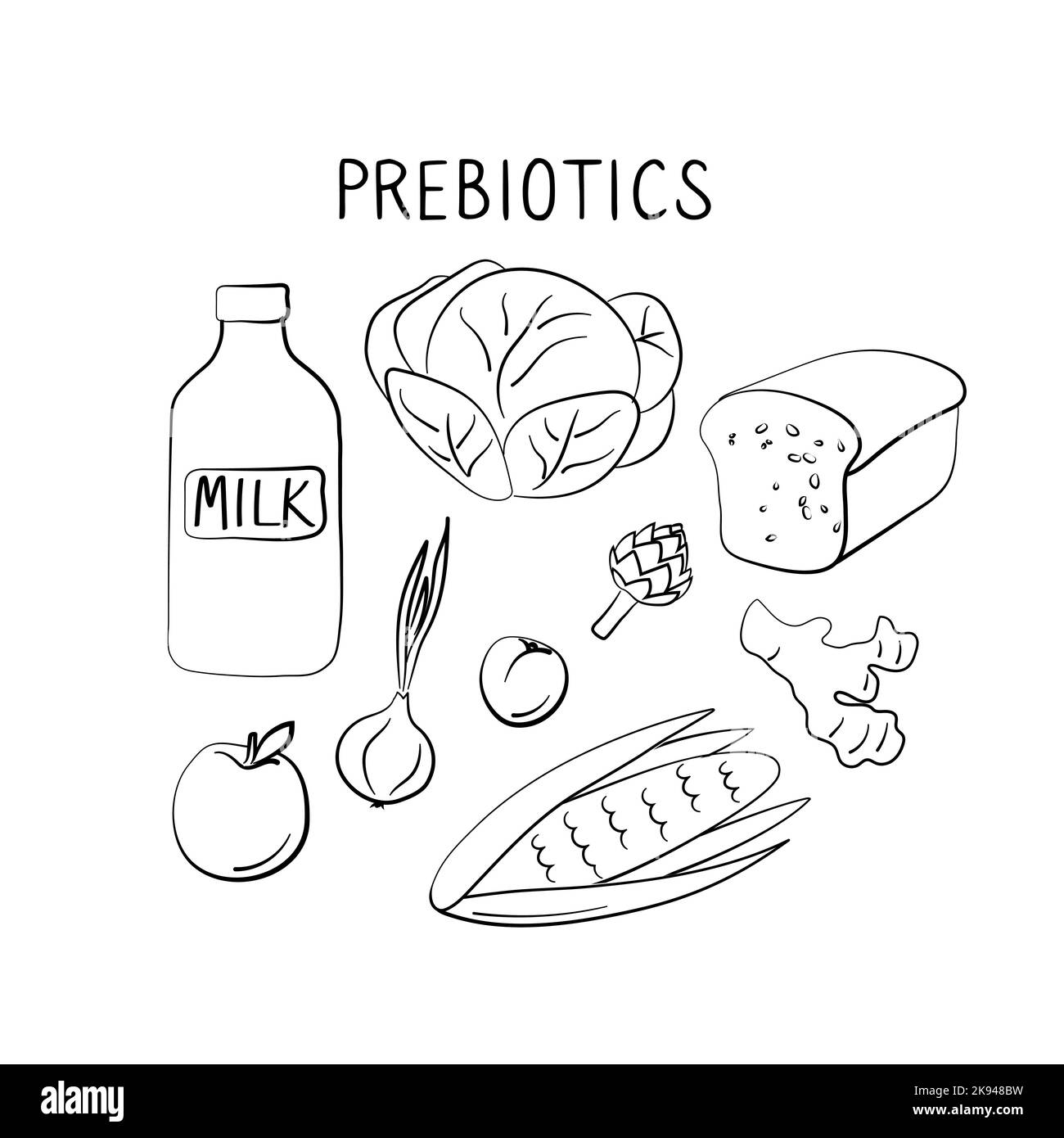 Protein Food Group Coloring Pages