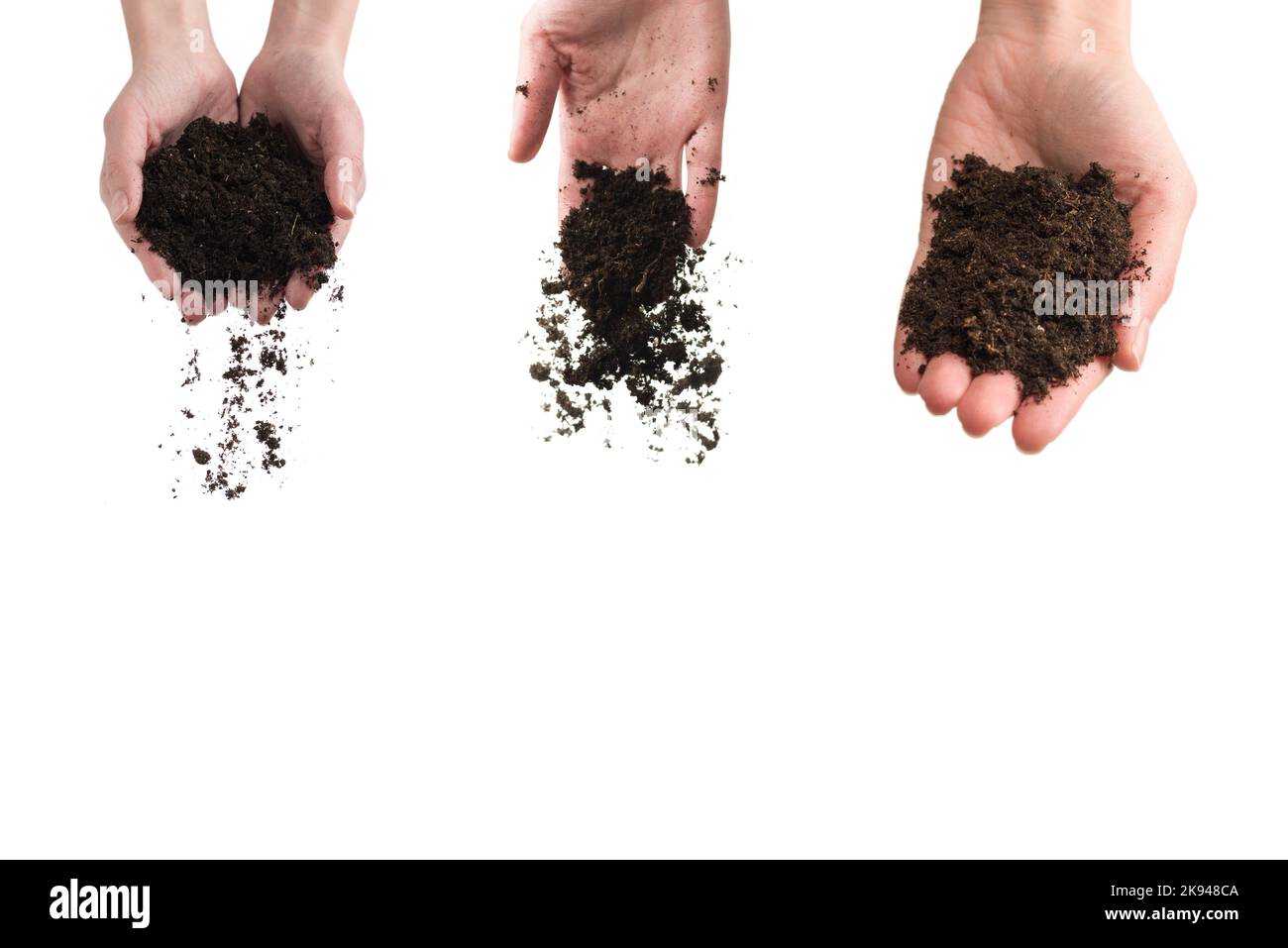 Brown soil in woman hands isolated on white background. The soil falls ...