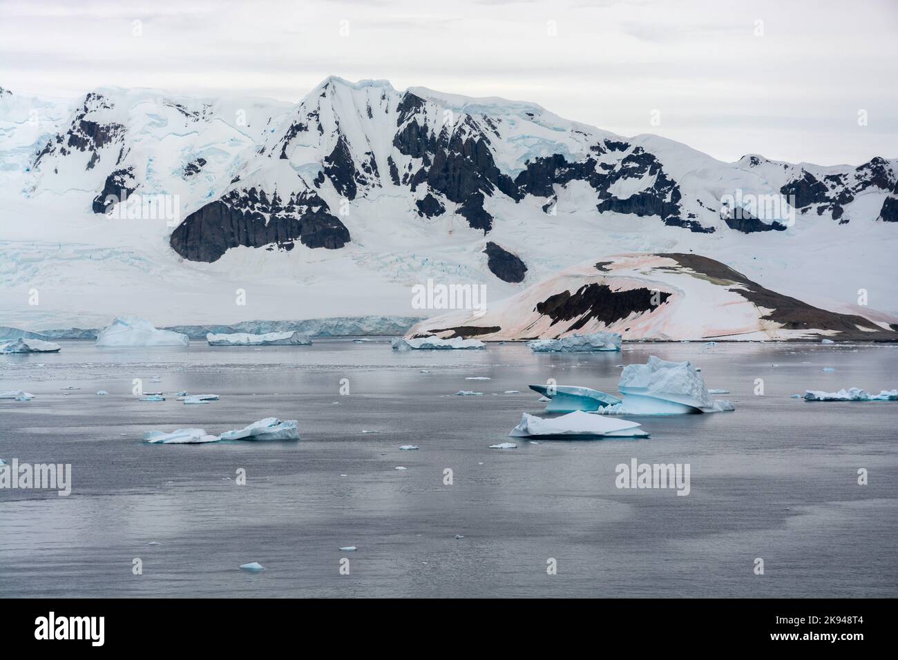danco island with red snow algae colouring snow. errera channel with ...