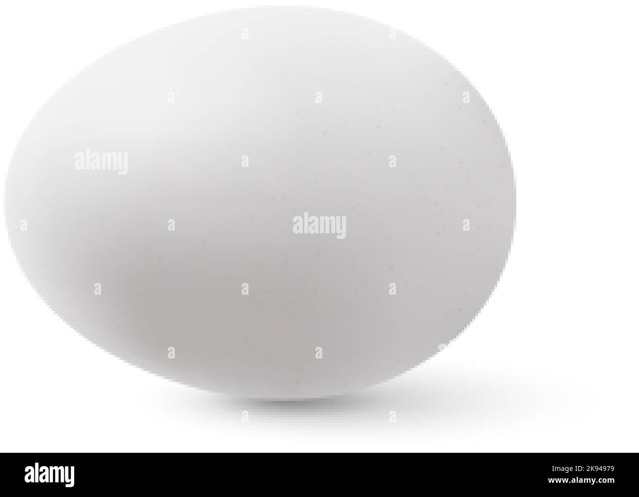 Fresh Organic Chicken Egg. Realistic Chicken Egg with Shadow Effects ...