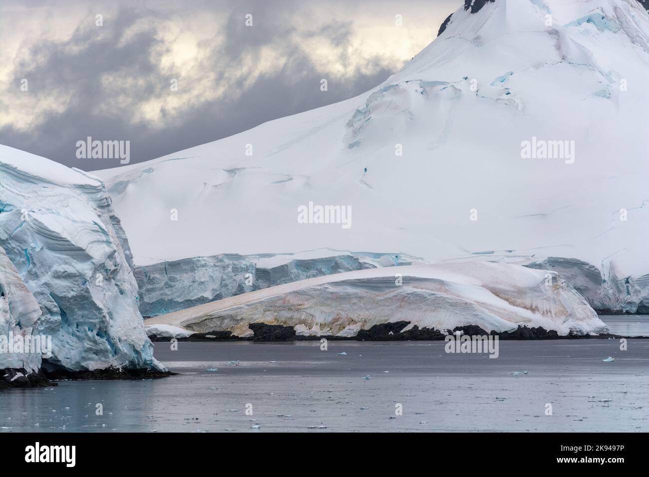 Antarctic algae hi-res stock photography and images - Alamy