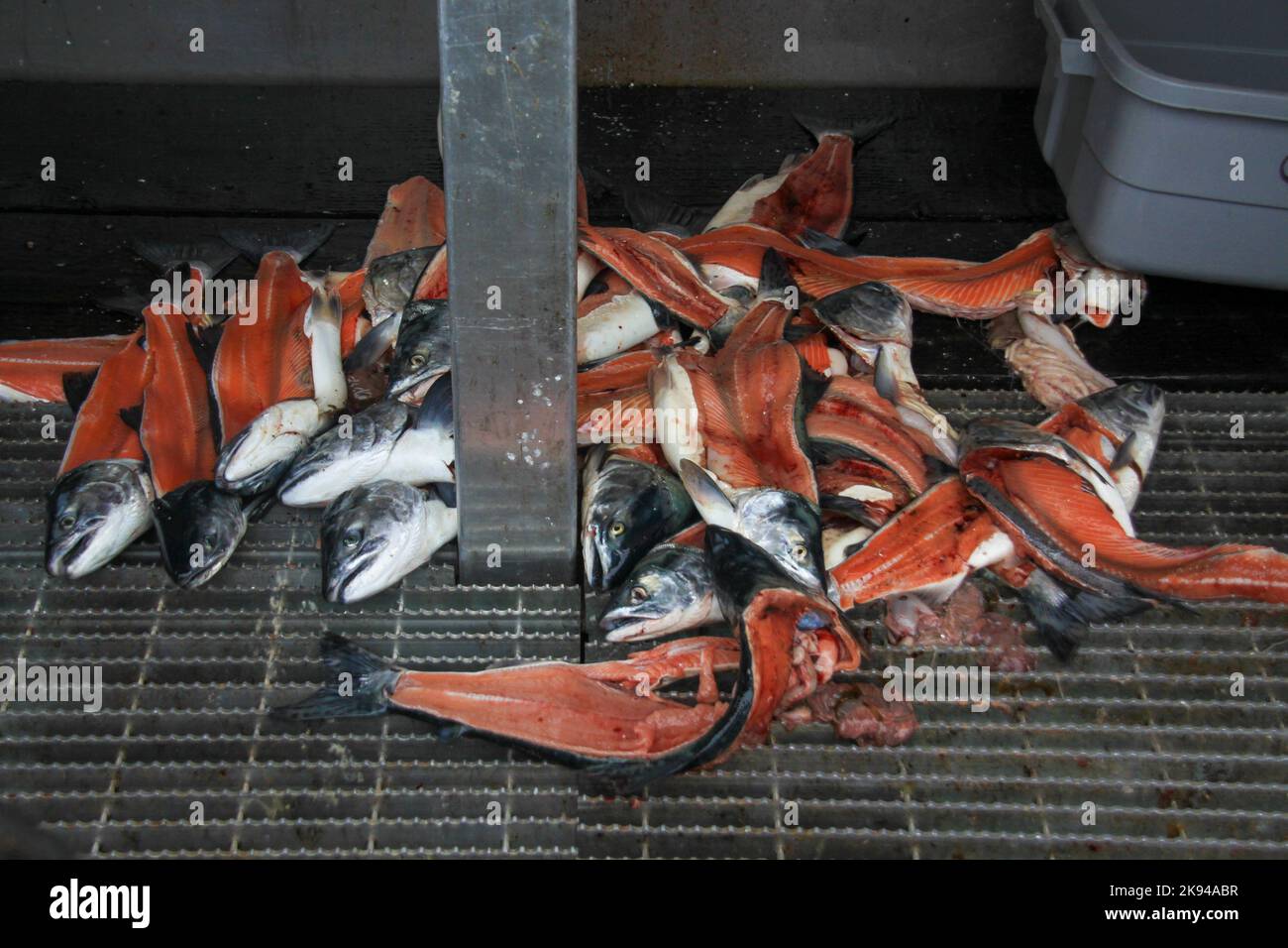 sport fishing at Seward, Alaska is an incorporated home rule city in ...