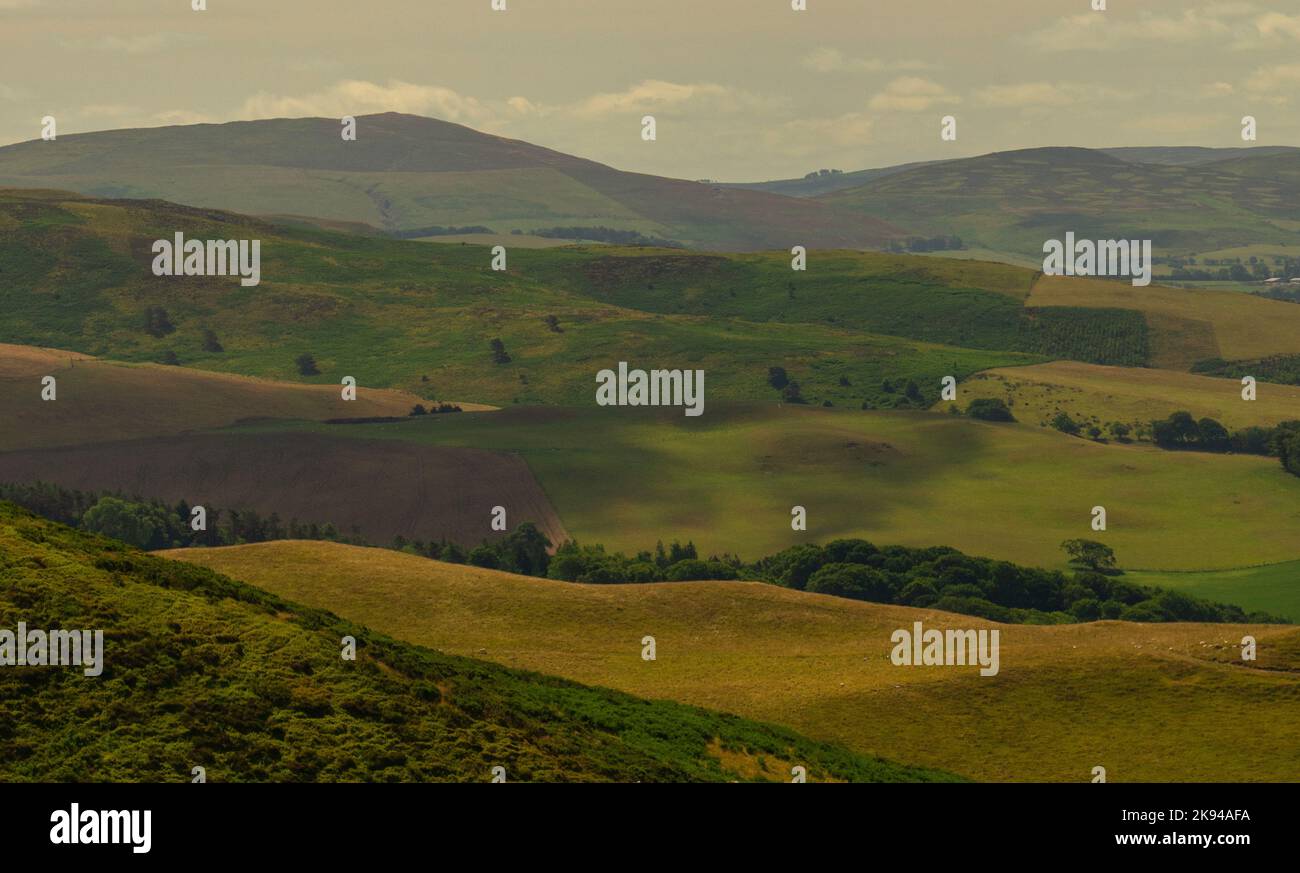 The mesmerizing green landscape with hills and mountains against one ...