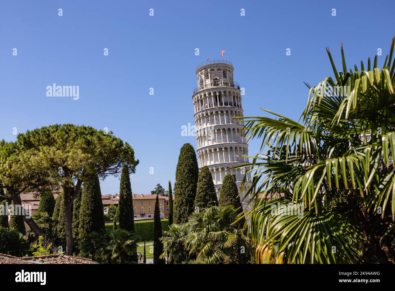 The Leaning Tower of Pisa in the Square of Miracles (Piazza dei ...