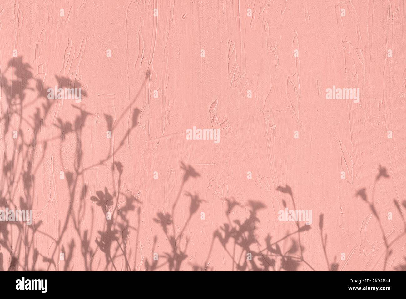 Pink grass background hi-res stock photography and images - Alamy