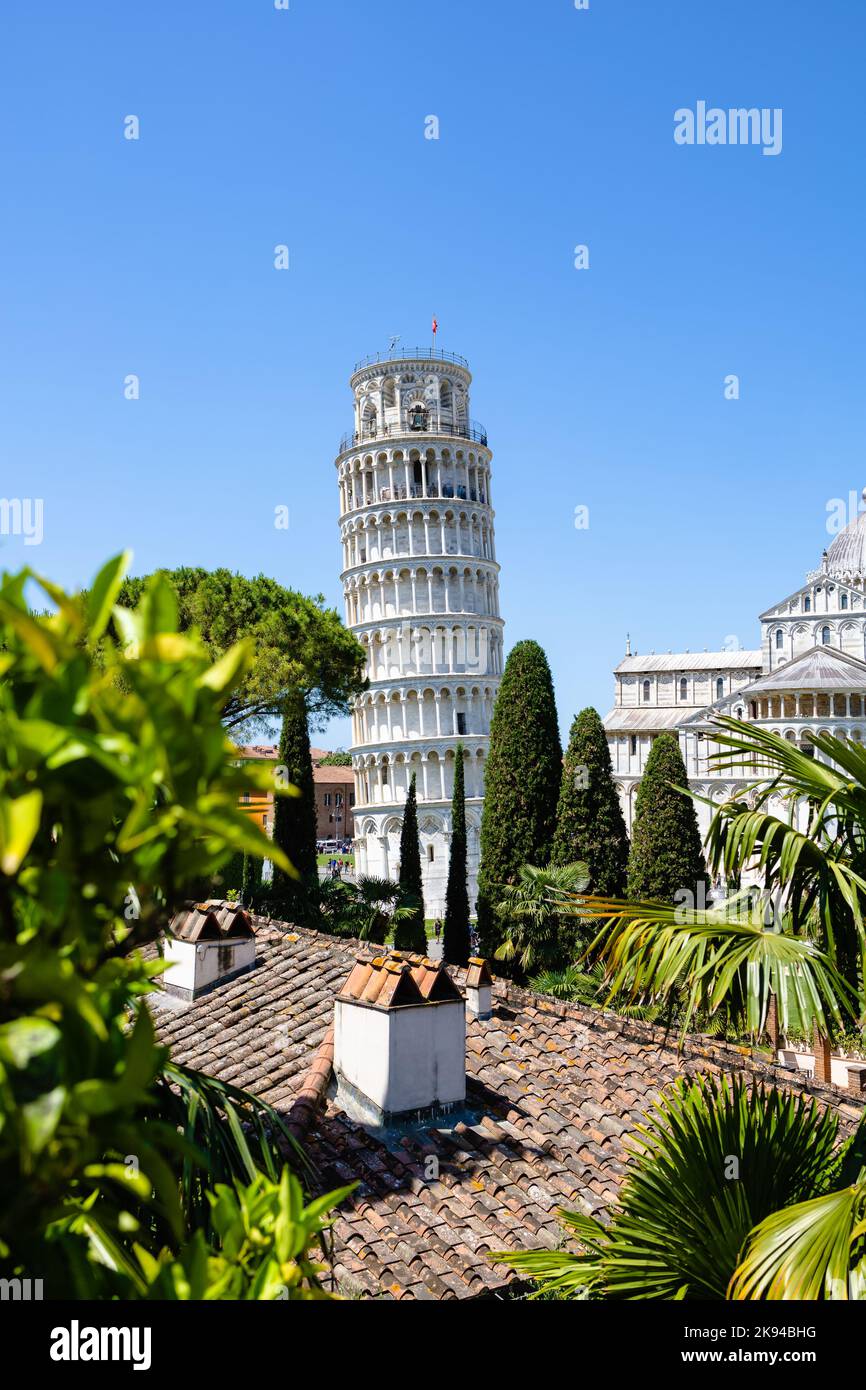 The Leaning Tower of Pisa in the Square of Miracles (Piazza dei ...