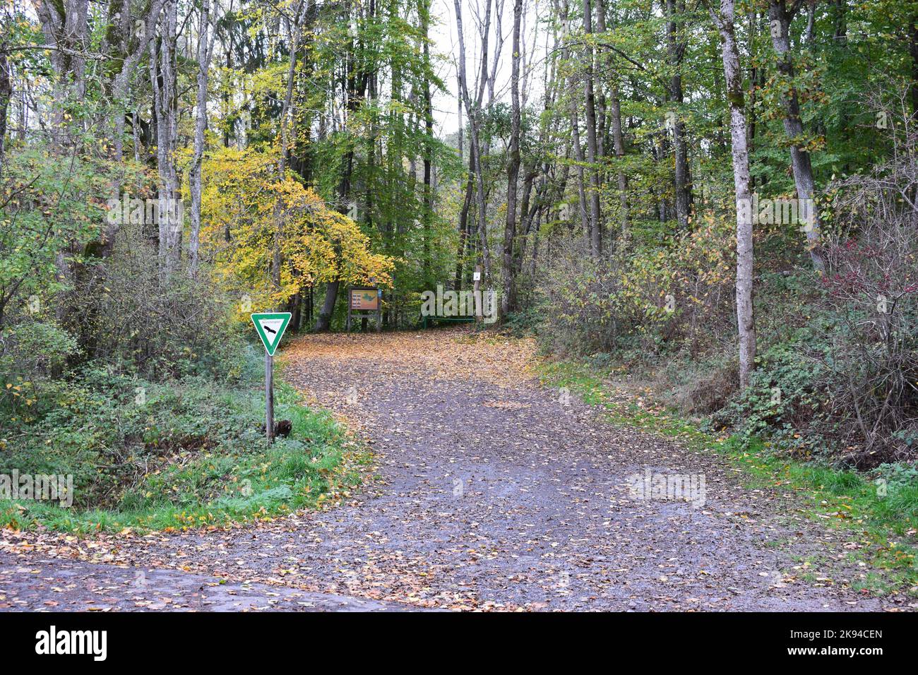 gravel parking lot at a caldera lake Stock Photo - Alamy