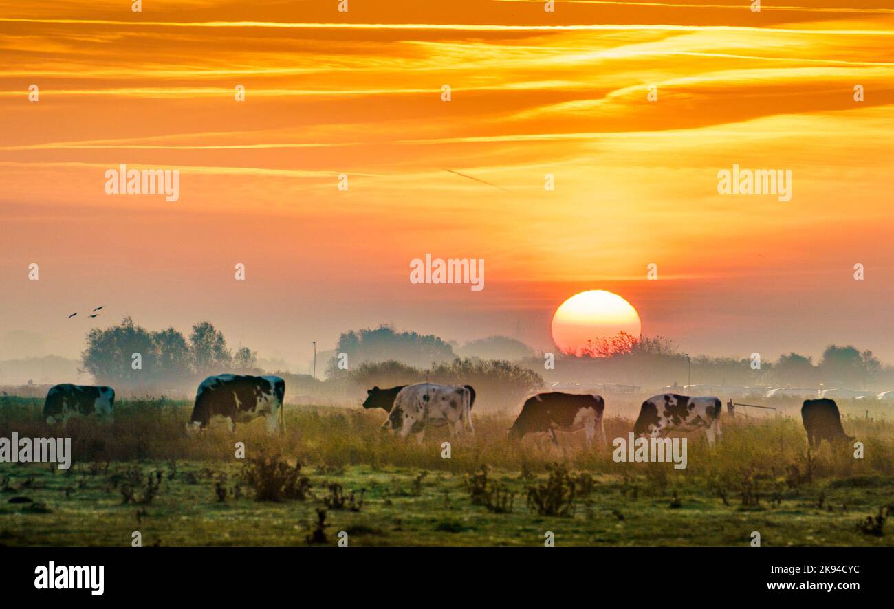 St.Peter Ording, Germany. 26th Oct, 2022. The sun rises on the ...