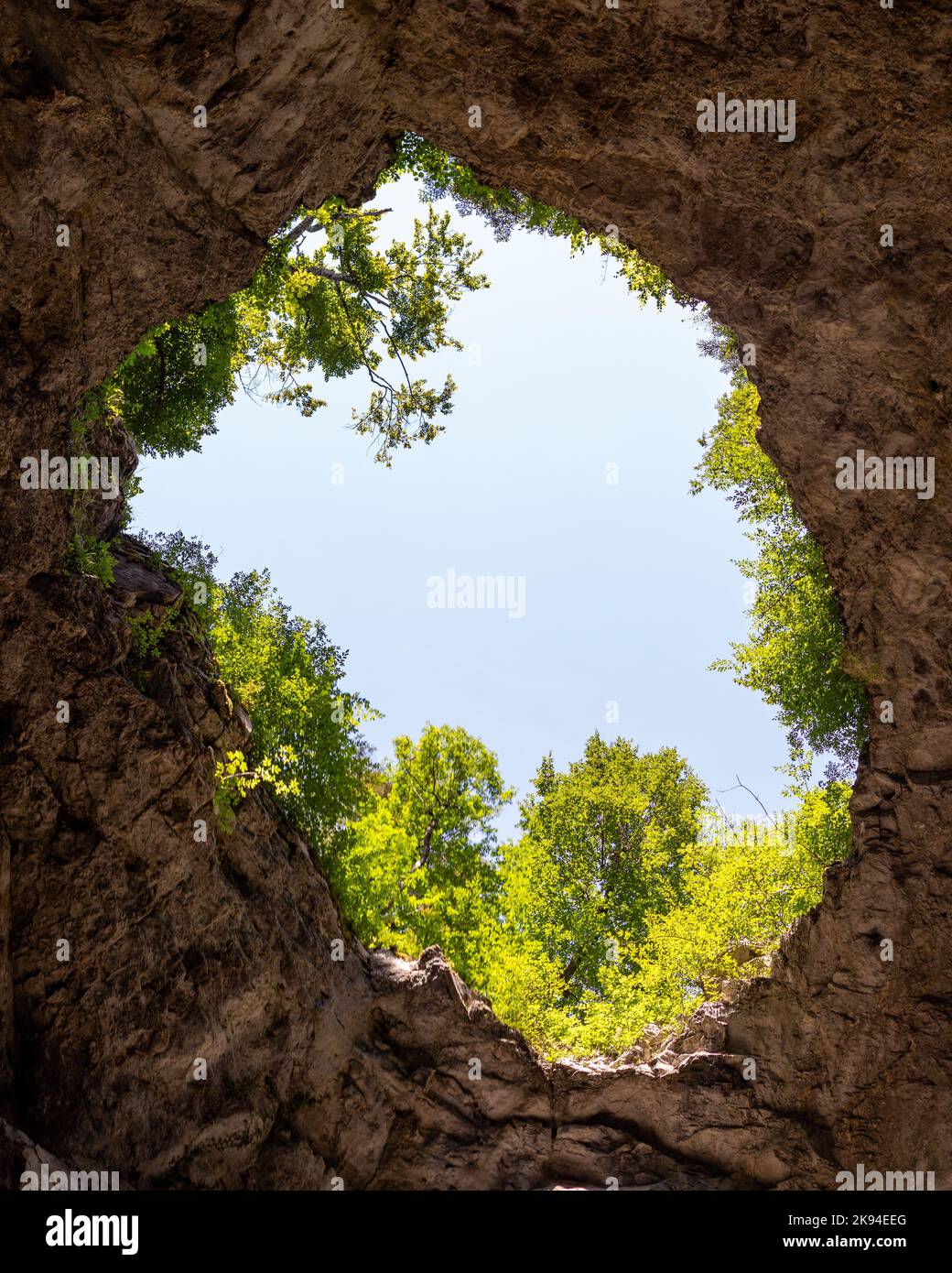 The green trees seen from inside a cave Stock Photo - Alamy