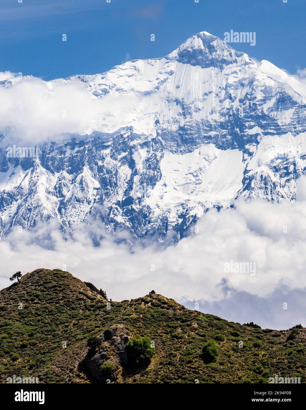 A vertical shot of Annapurna and Nilgiri mountains in the Kingdom of ...