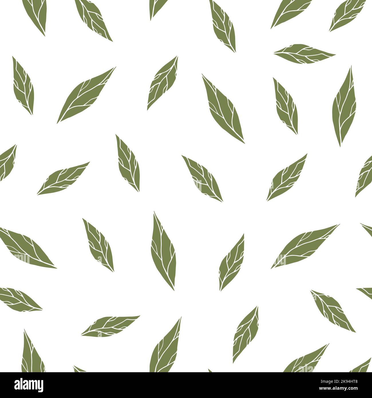 Green leaves botanical seamless pattern. Hand drawn botanical elements on white background Stock ...