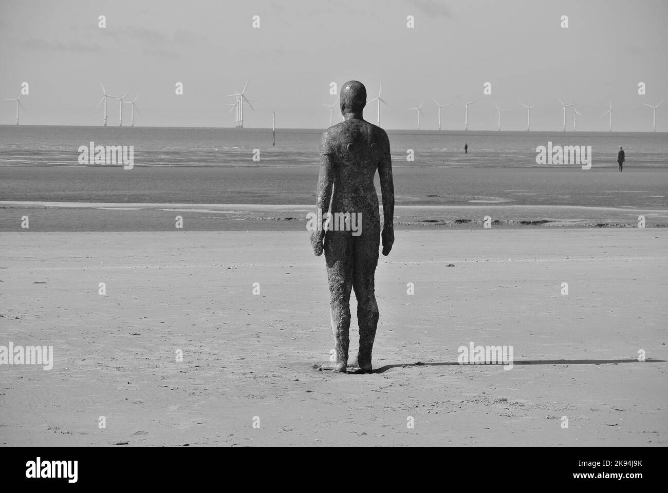 Sea scale Black and White Stock Photos & Images - Alamy