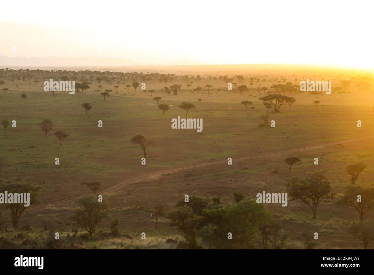 GRUMETI GAME RESERVE TANZANIA Stock Photo - Alamy