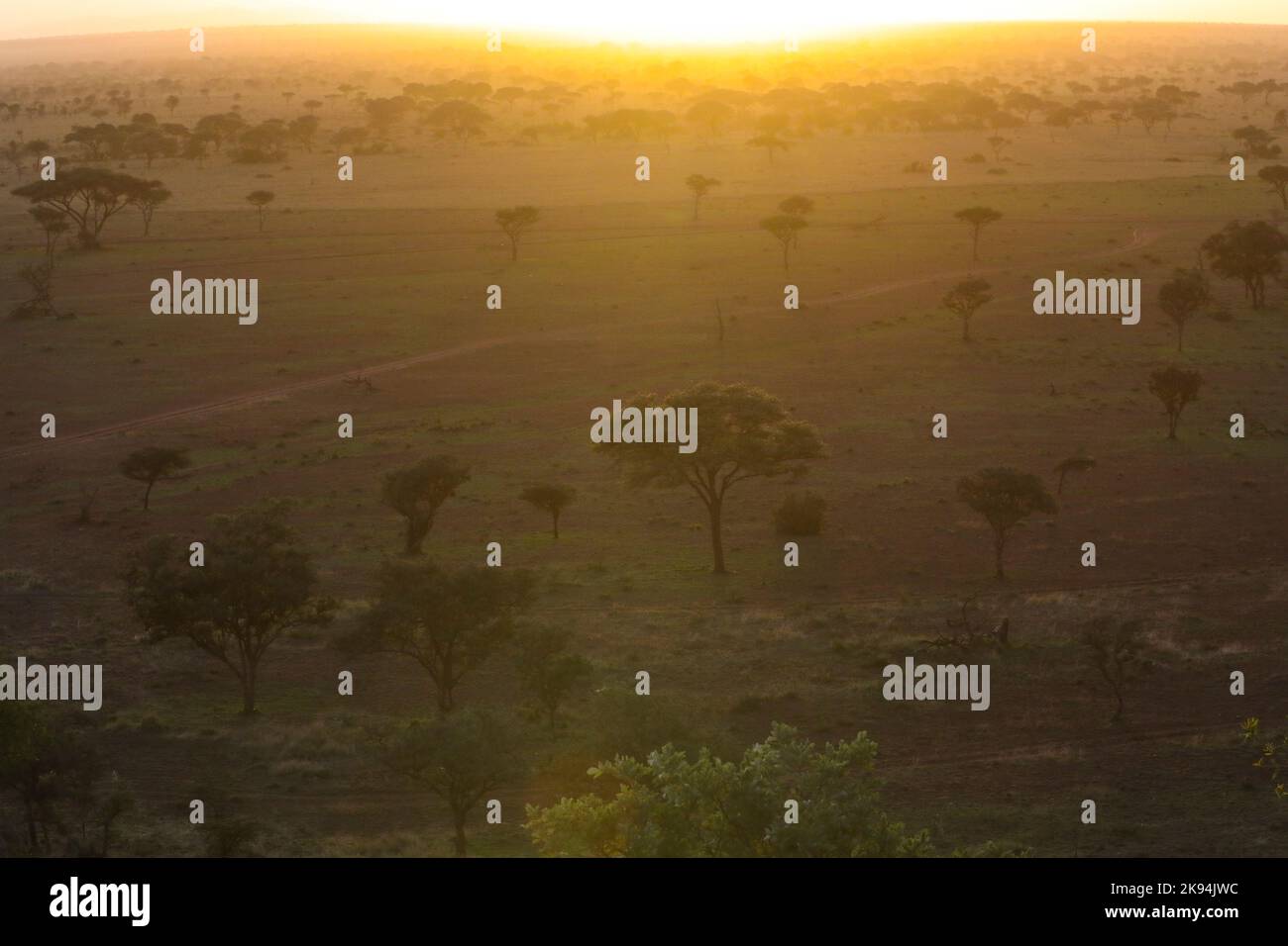 GRUMETI GAME RESERVE TANZANIA Stock Photo - Alamy