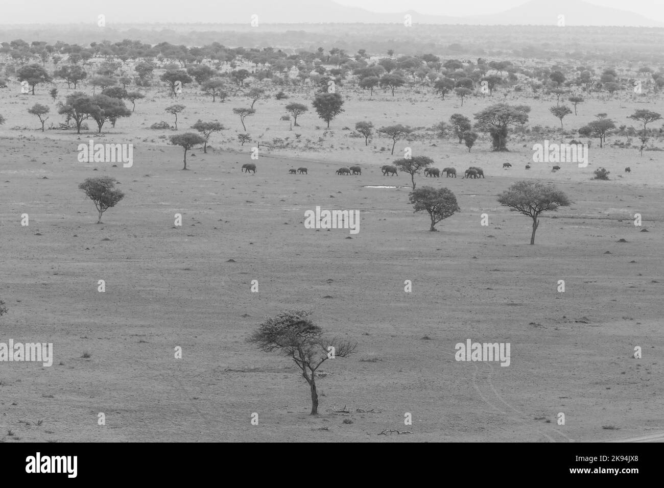 GRUMETI GAME RESERVE TANZANIA Stock Photo - Alamy