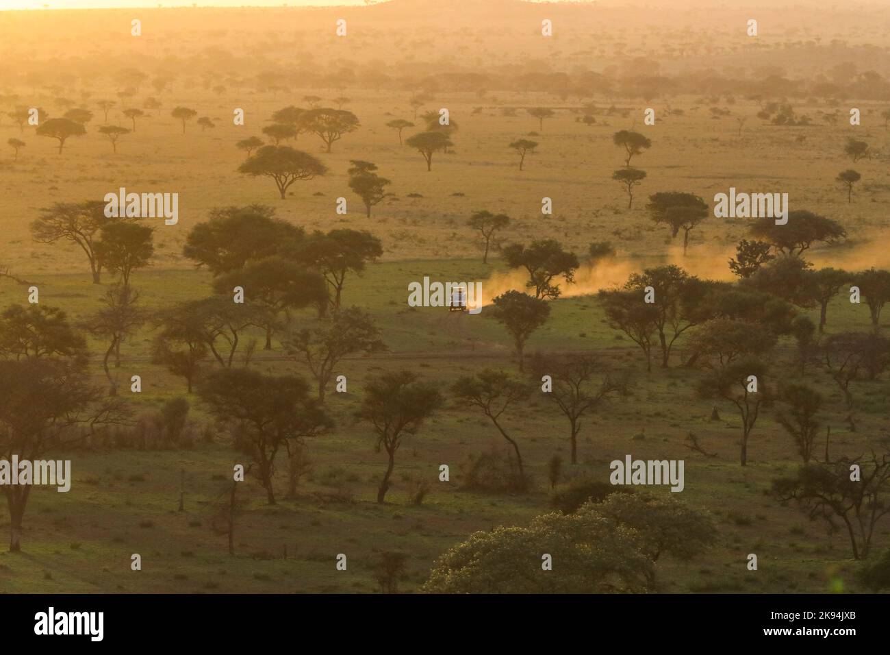Serengeti trees sunset 4x4 hi-res stock photography and images - Alamy