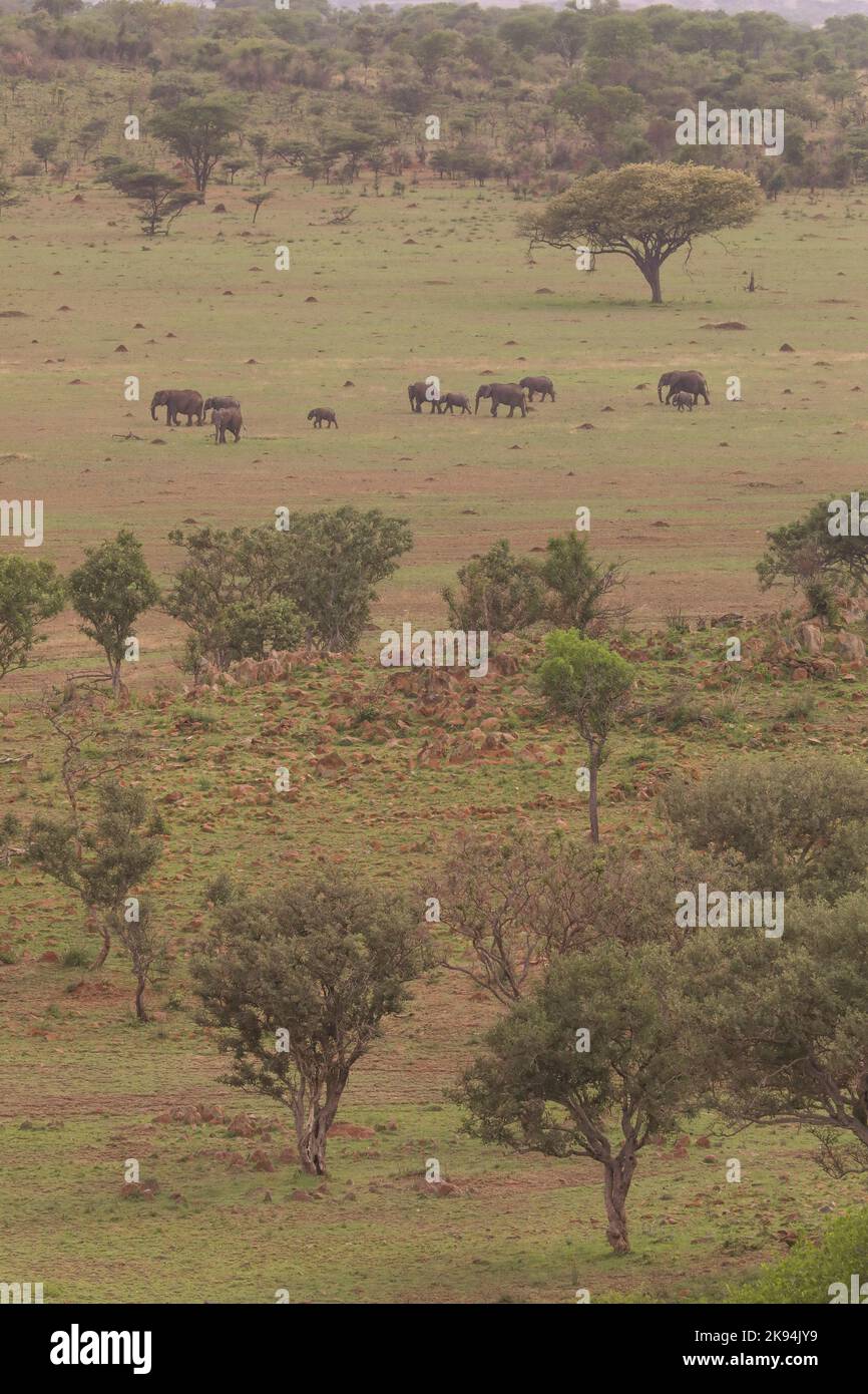 GRUMETI GAME RESERVE TANZANIA Stock Photo - Alamy