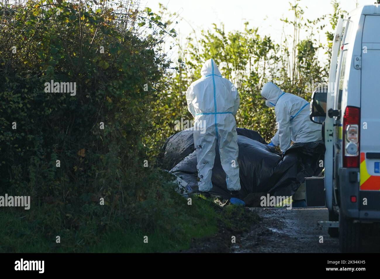 Members of the Garda forensic team at the scene in Rattin near ...
