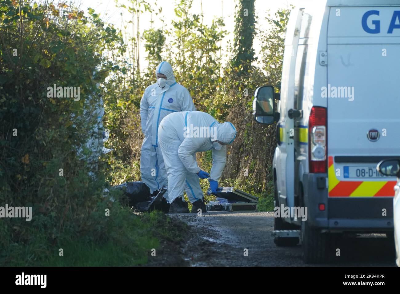 Members of the Garda forensic team at the scene in Rattin near ...