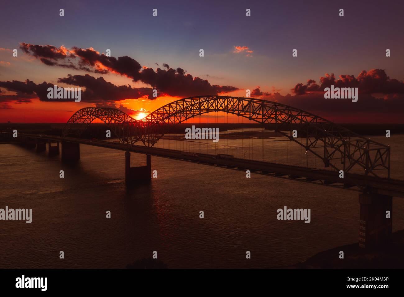 Tennessee birds hi-res stock photography and images - Alamy