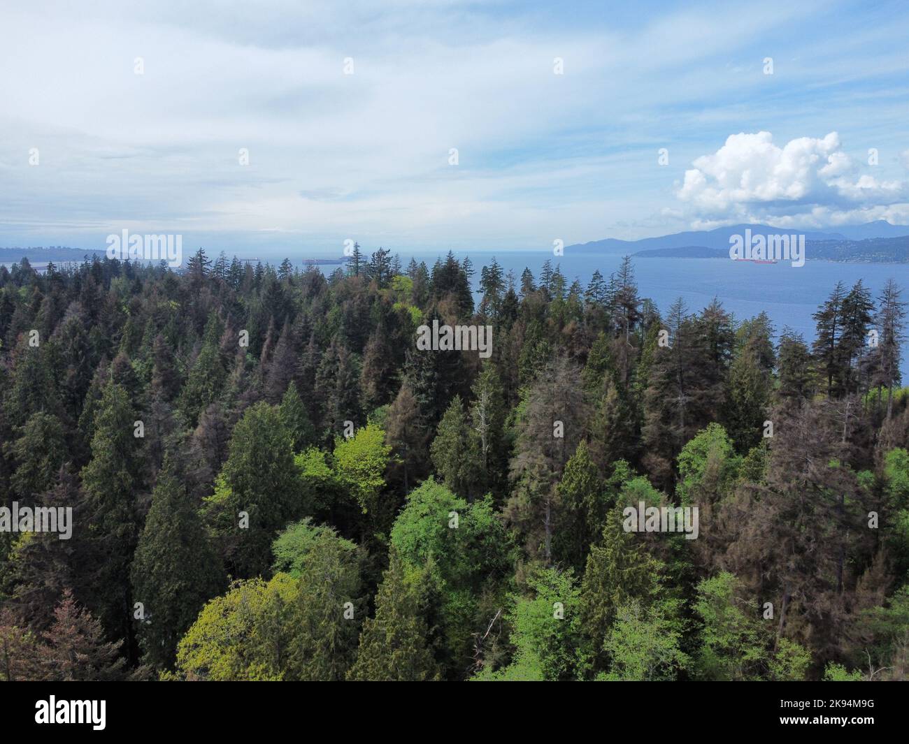 Canada vancouver street forest hi-res stock photography and images - Alamy