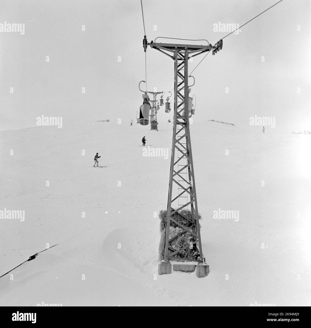 Tree vehicle Black and White Stock Photos & Images - Alamy