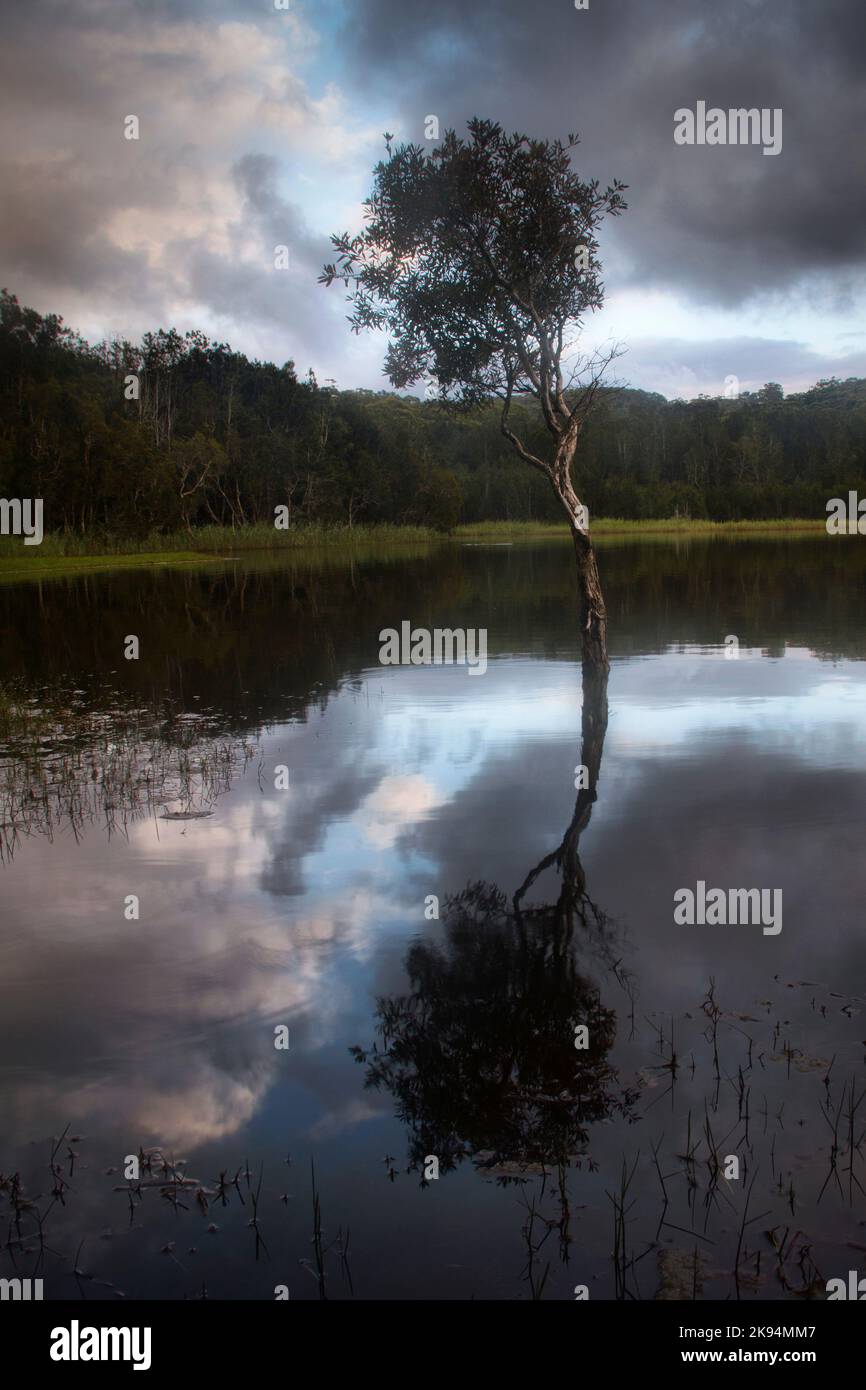 The clear Cochrane Lagoon near McMasters Beach on the NSW Central coast ...