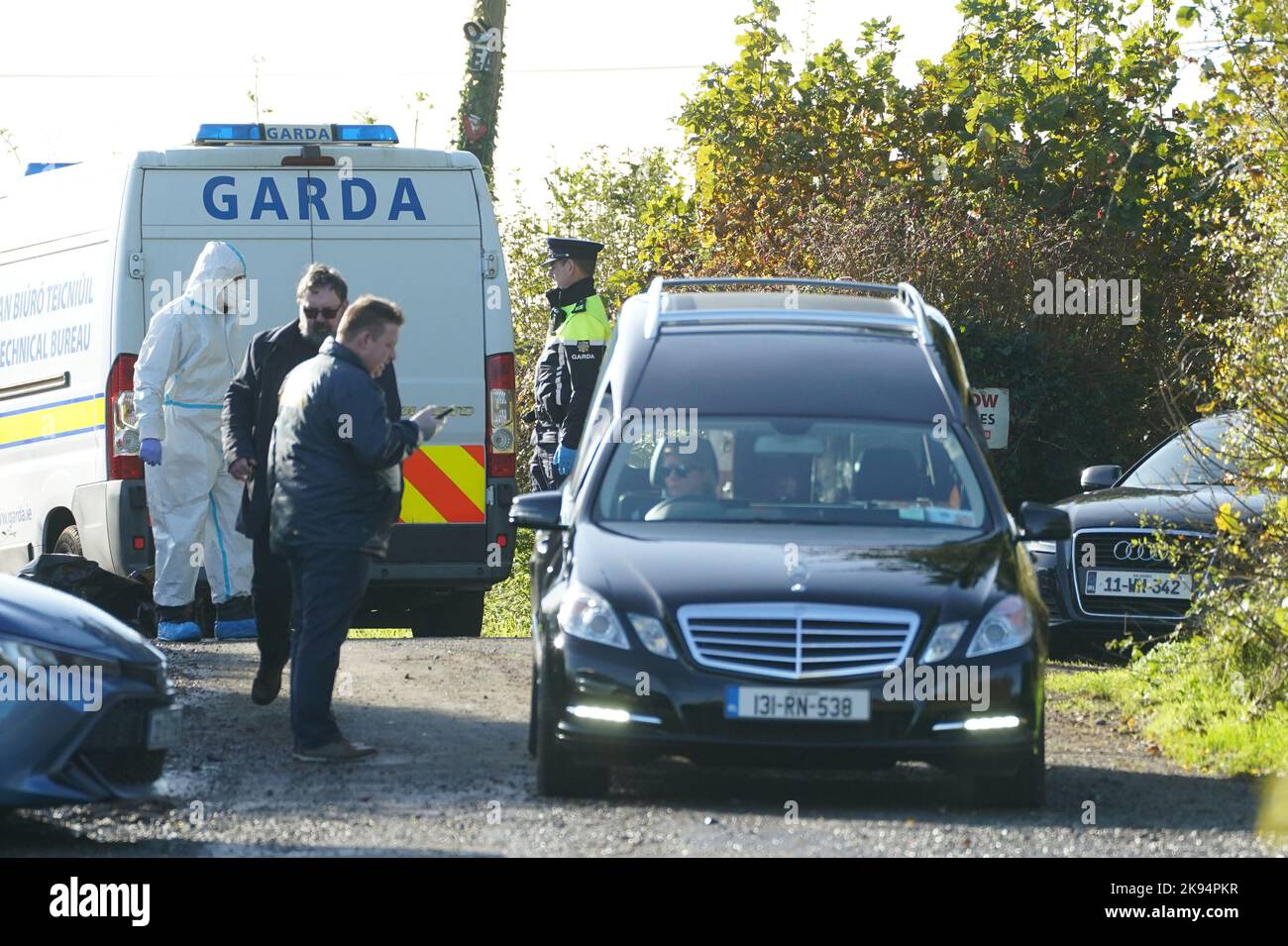A hearse at the scene in Rattin near Milltownpass, Co Westmeath after ...