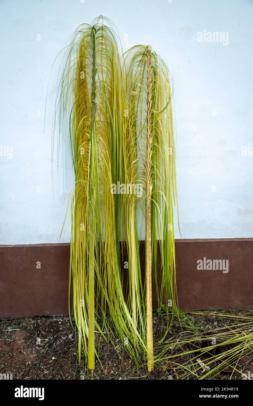 The art of weaving hi-res stock photography and images - Alamy