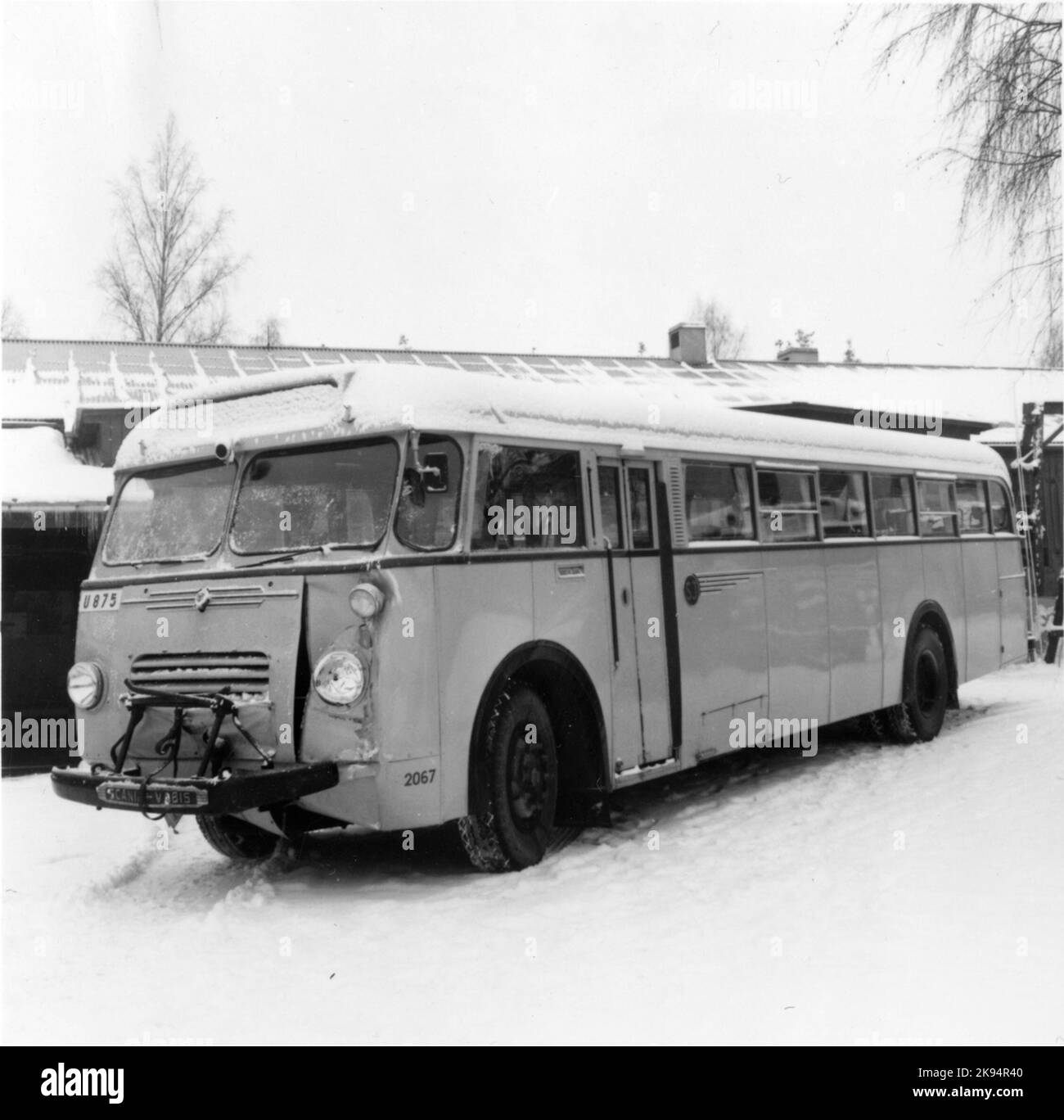 Swedish boxer hi-res stock photography and images - Alamy