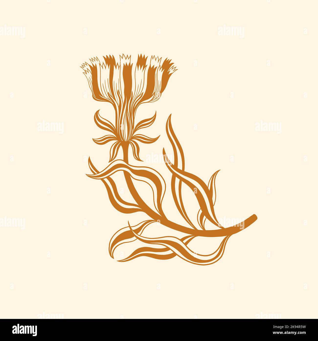 Flower line hand drawn style. One object vintage design. Elegant plant ...