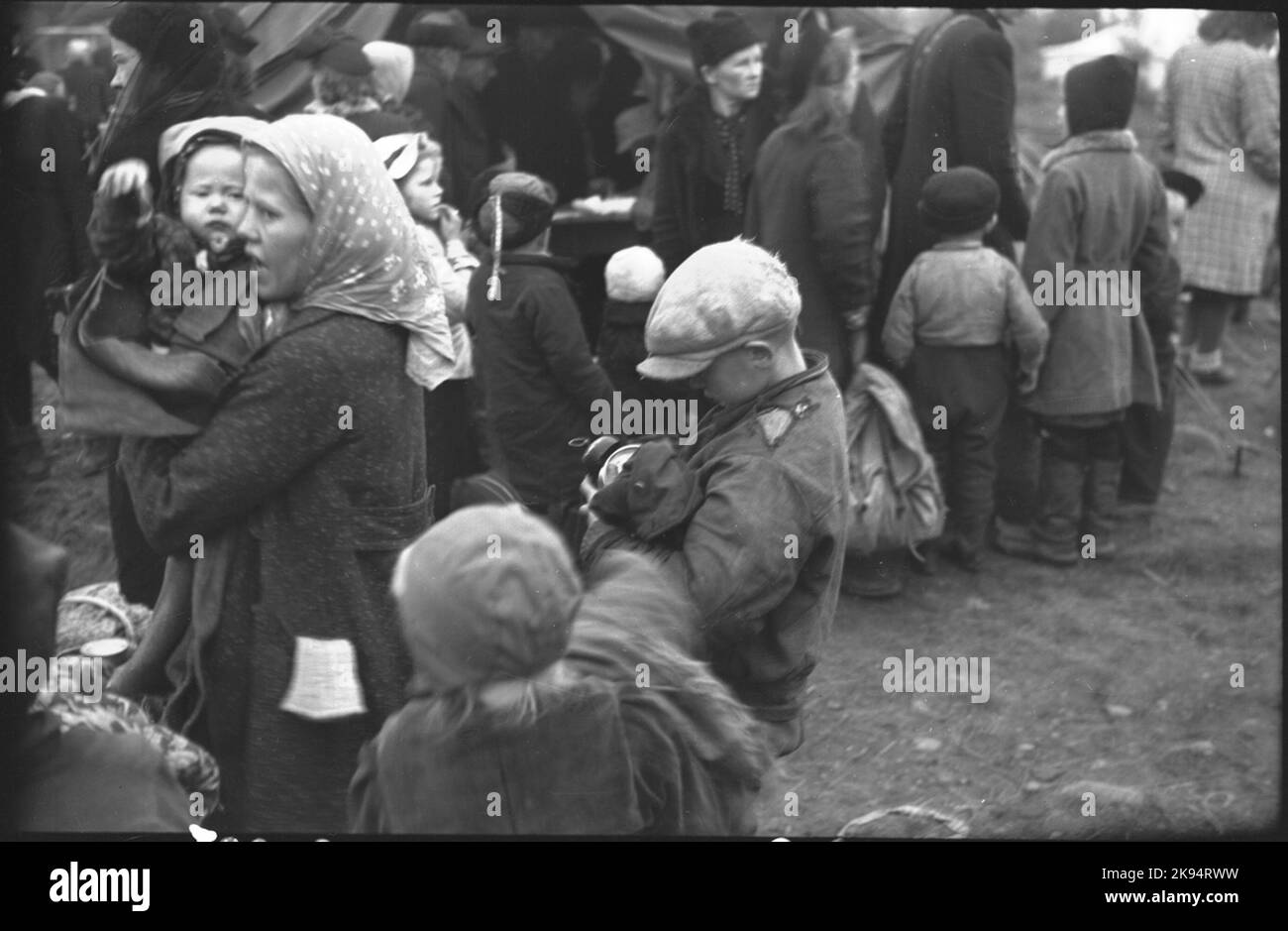 Evacuation of Finnish refugees, autumn 1944 Stock Photo - Alamy