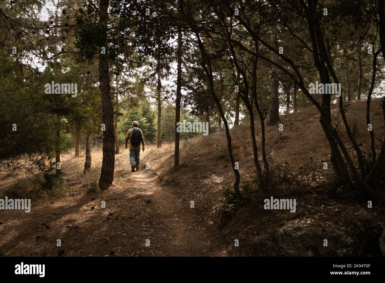 backpacker walking in a forest, Galilee, israel Stock Photo - Alamy