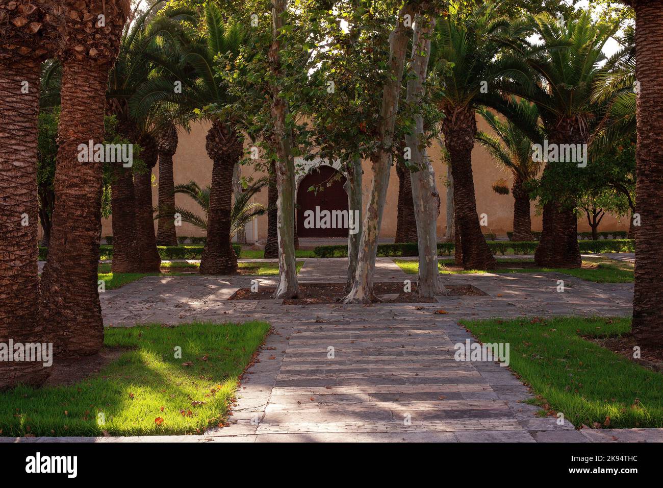 A park with various types of trees in the daytime in Morocco Stock ...