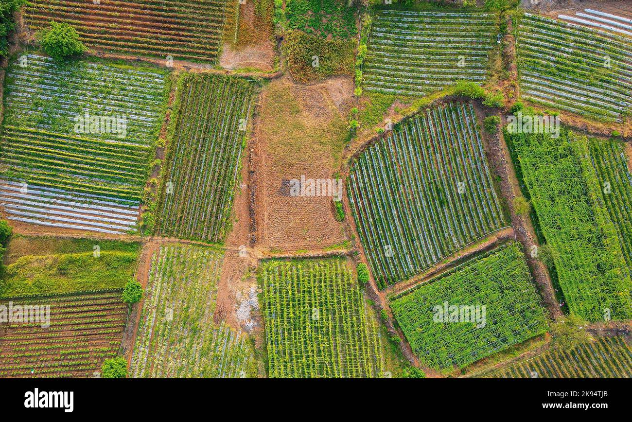 A top view of separated farmlands and agricultural fields, starting of ...