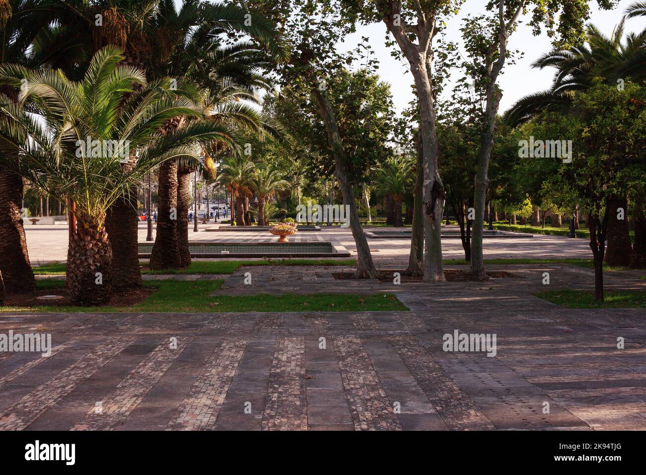 A park with various types of trees in the daytime in Morocco Stock ...