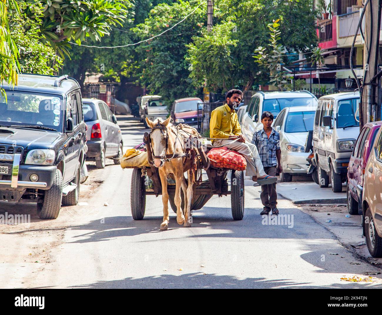 DELHI, INDIA - OCTOBER 14: man sells vegetables on October 14,2012 in ...