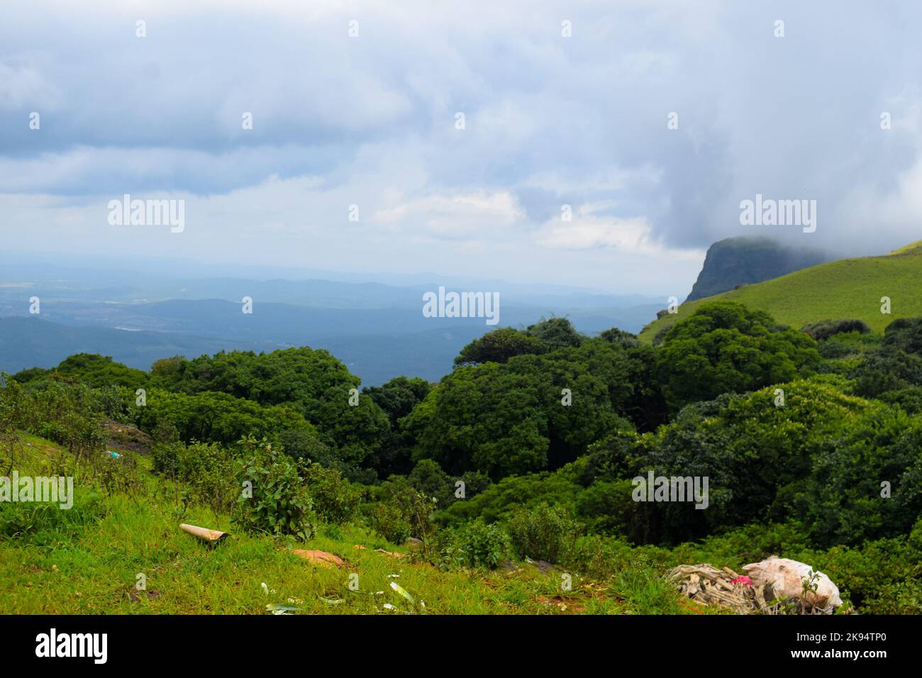 A beautiful view of trees on a mountain near the sea on a gloomy day ...