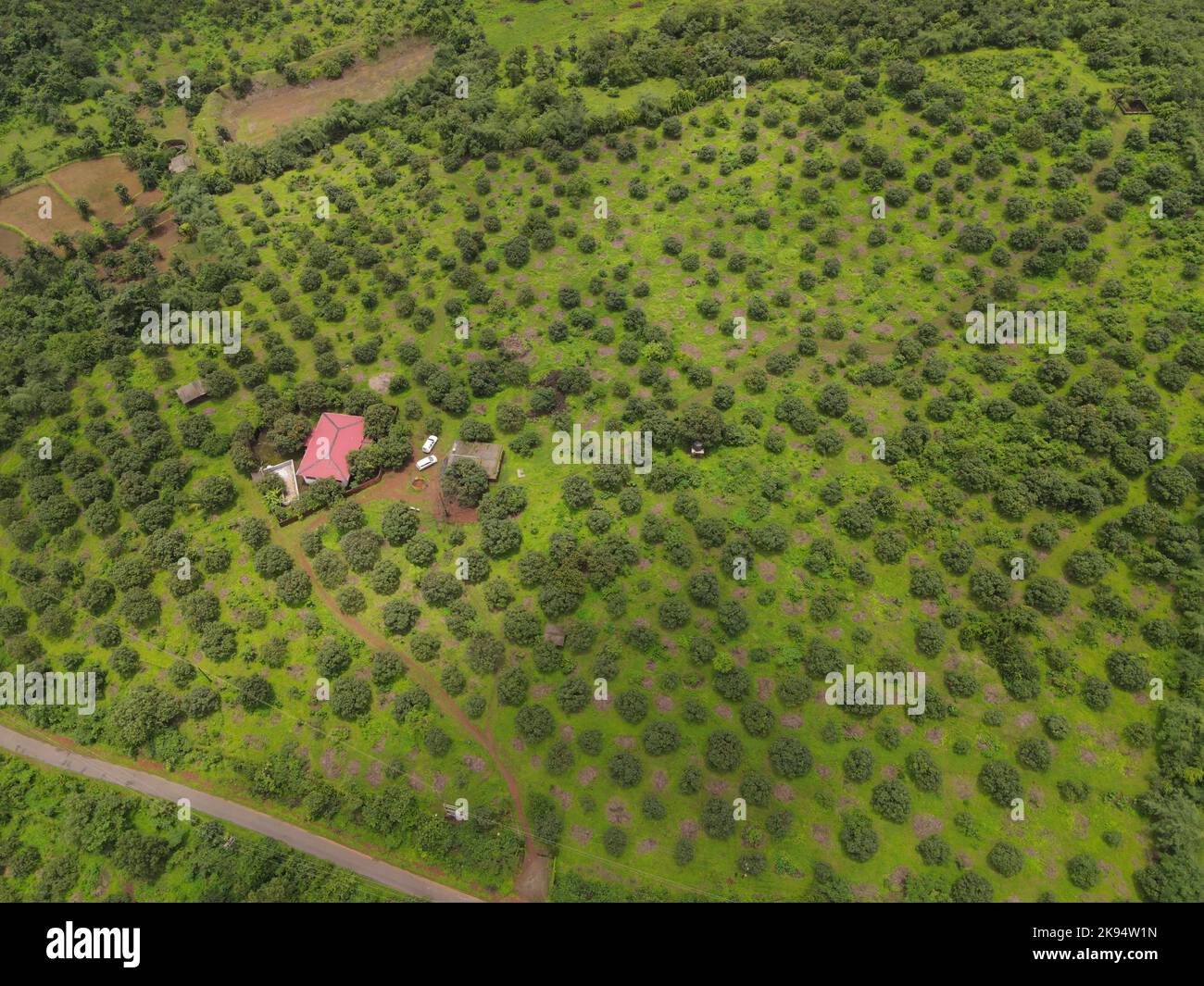 A bird's eye view of rural landscape with green bushes and farm houses ...