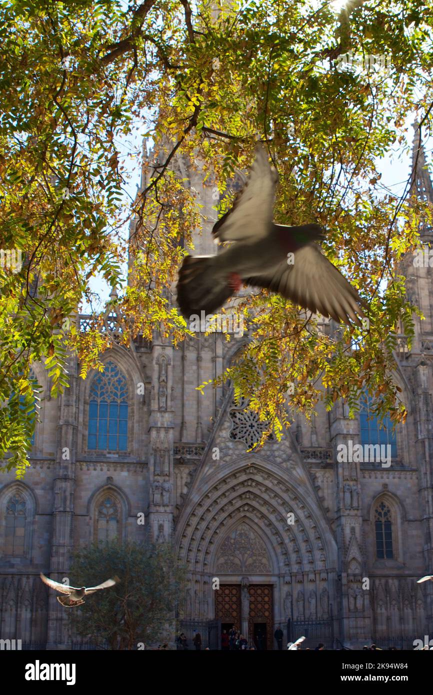 A vertical shot of a bird flying in front of the Sagrada Familia in ...