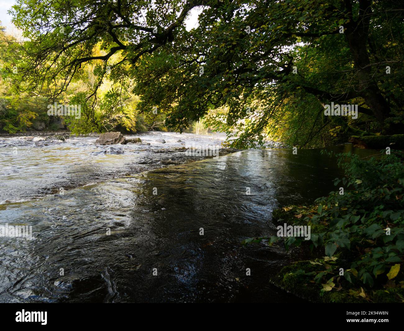 Aysgarth upper falls of three stepped waterfalls on River Ure in ...