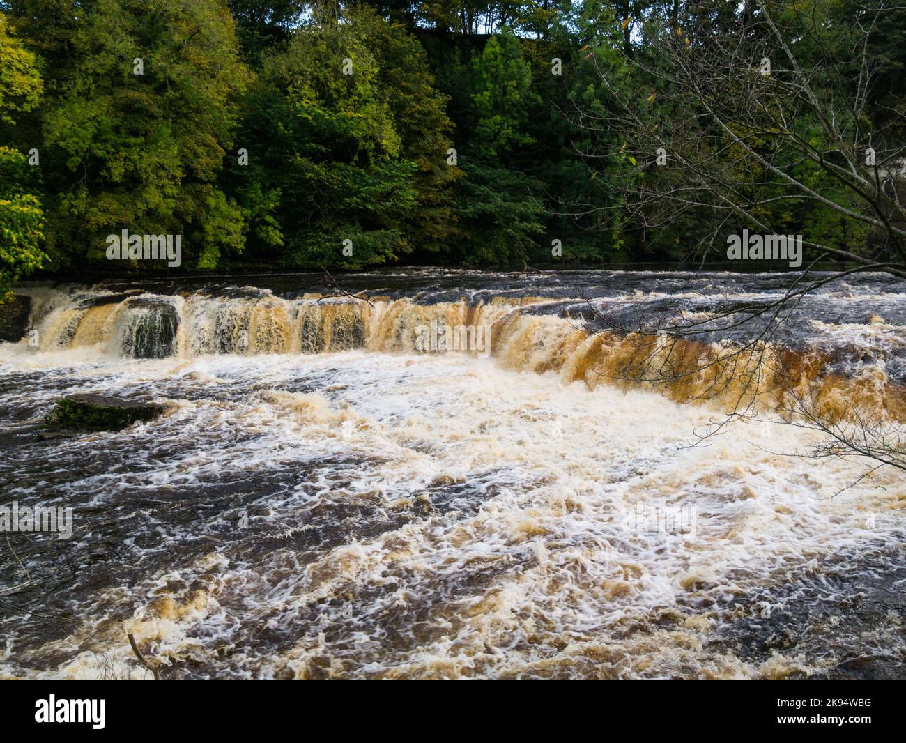 Aysgarth upper falls of three stepped waterfalls on River Ure in ...