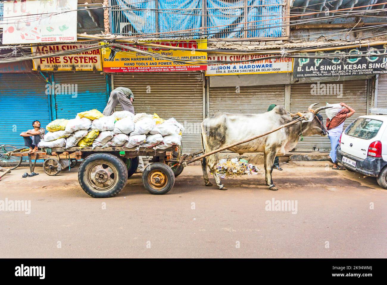 DELHI, INDIA - NOV 9: Ox cart transportation on early morning on ...