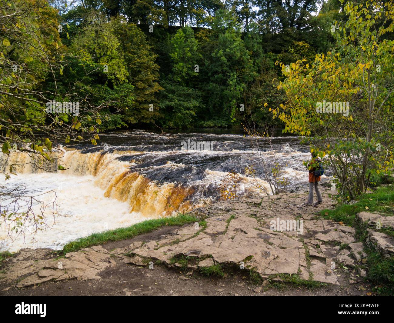 Aysgarth upper falls of three stepped waterfalls on River Ure in ...