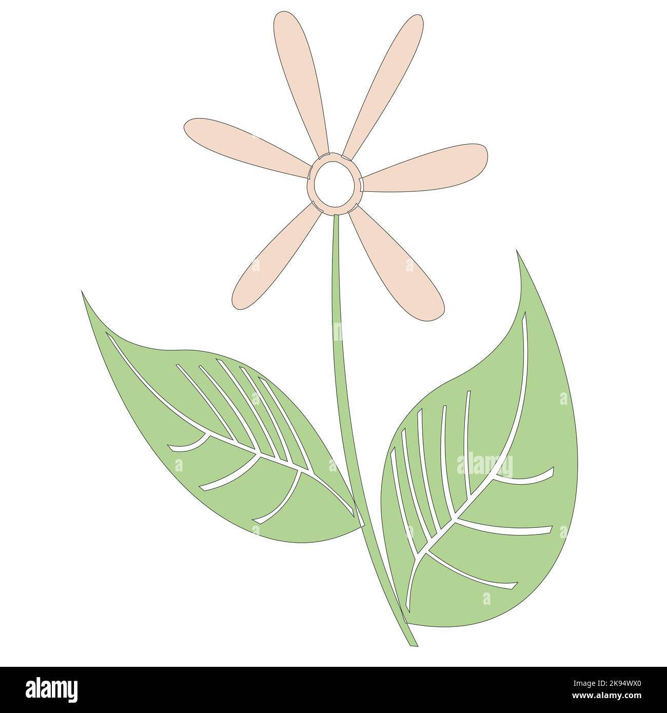 Bud shape hi-res stock photography and images - Alamy