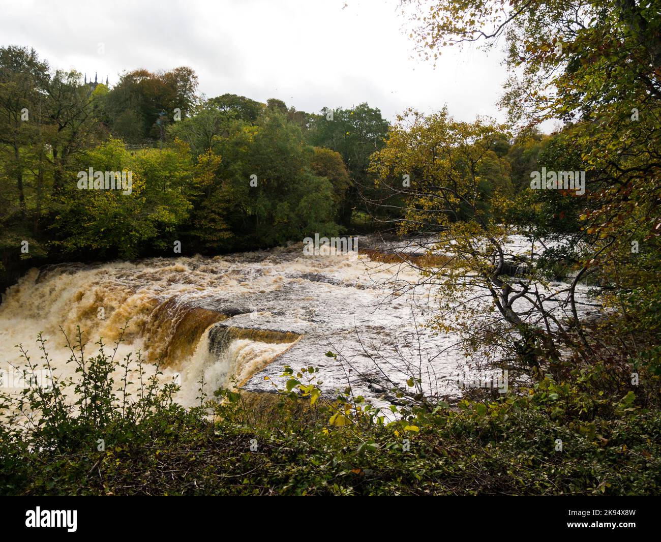 Aysgarth Middle Falls viewed from Freeholder's Wood in Local Nature ...