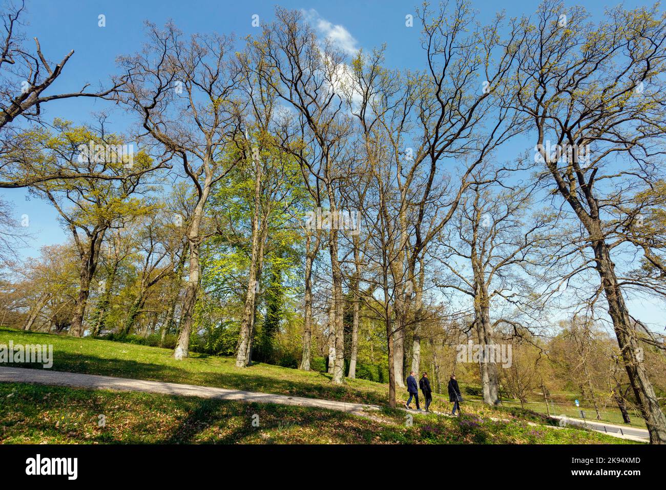Southern palace gardens in Schwerin on the Fauler See Stock Photo - Alamy