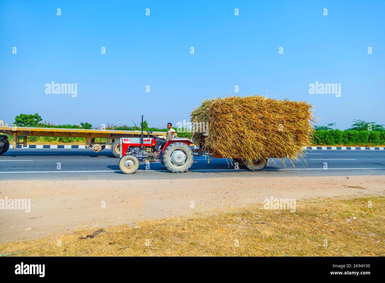 RAJASTHAN, INDIA - FEB. 24: timber transport with tractor on country ...