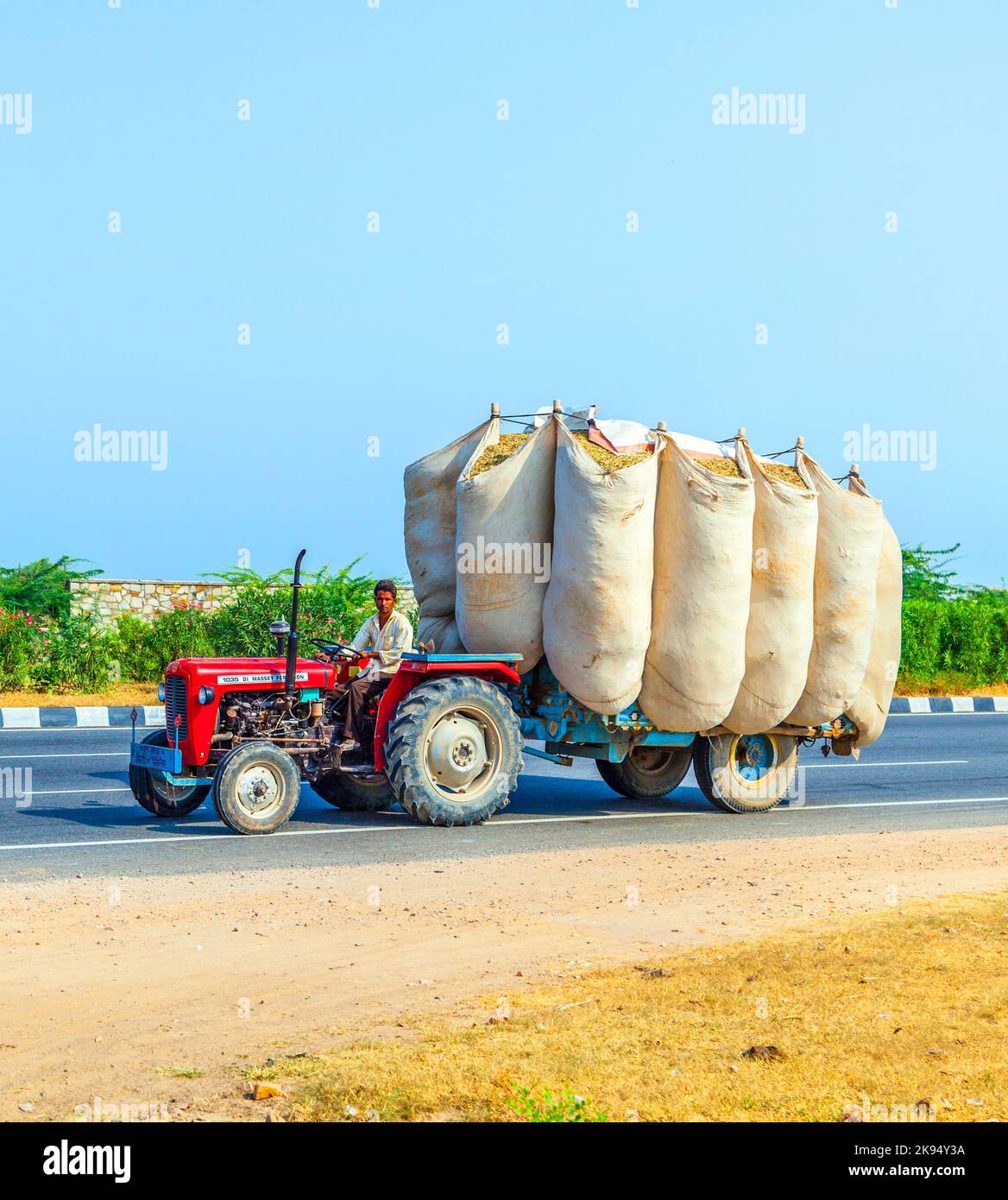 RAJASTHAN, INDIA - FEB. 24: timber transport with tractor on country ...