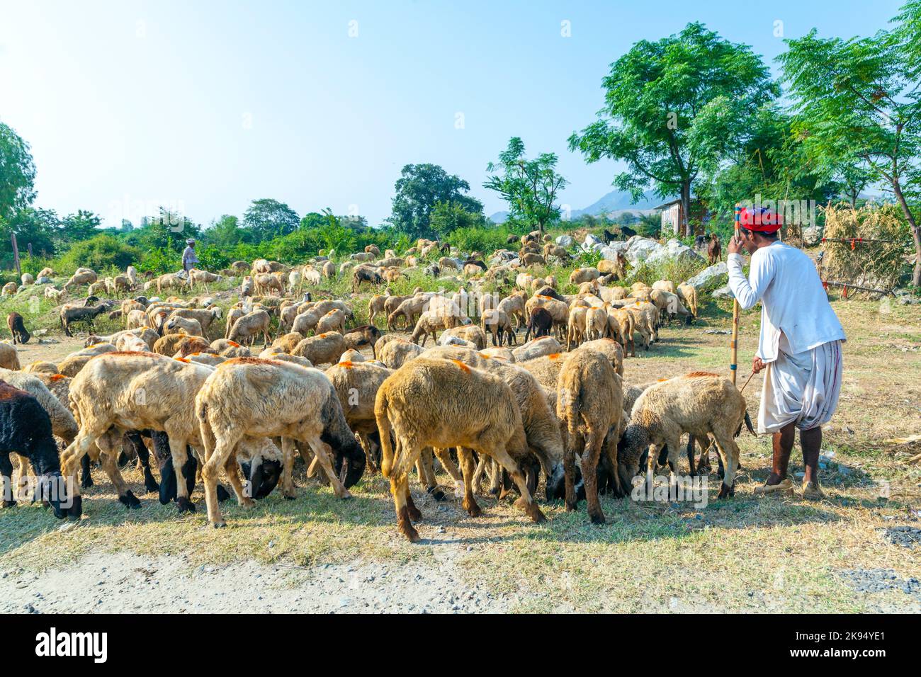 PUSHKAR, INDIA - OCTOBER 22: A Rajasthani tribal man wearing ...